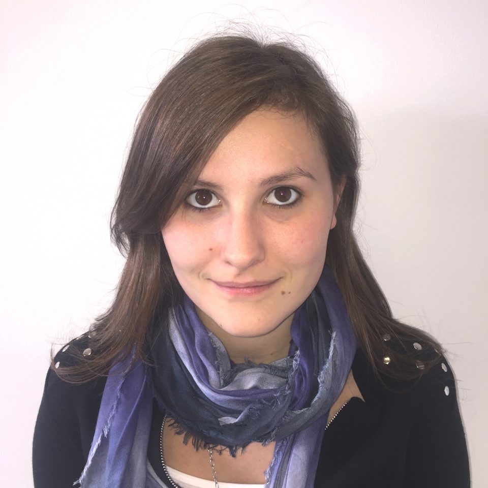 Team | VIBRA – An H2020 project